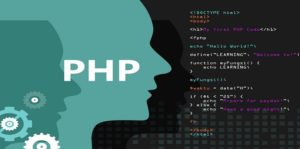 Become a Full-stack Developer - PressVeterans | Experienced WordPress ...