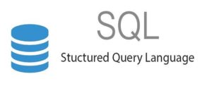 Become a Full-stack Developer - PressVeterans | Experienced WordPress ...